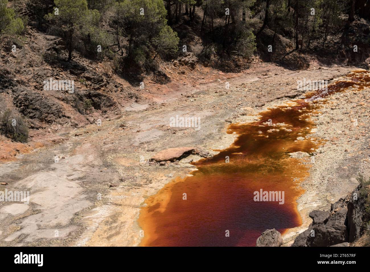 Landscape with the Tinto (red) river taht flows through pine forest and ...