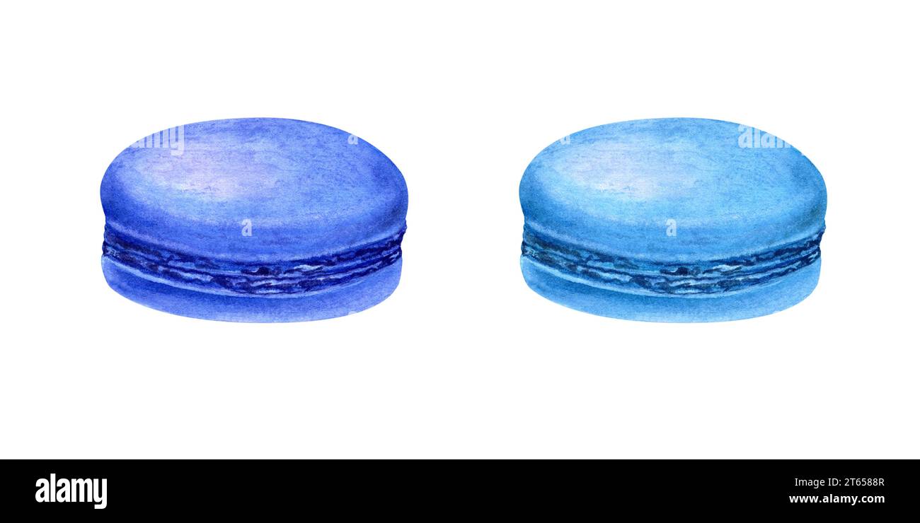 Traditional French macarons. Blue almond cookies, macaroon cake. Sweet ...