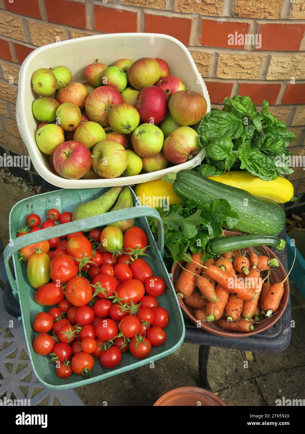 The harvest has been picked from a small vegetable plot & fruit trees ...