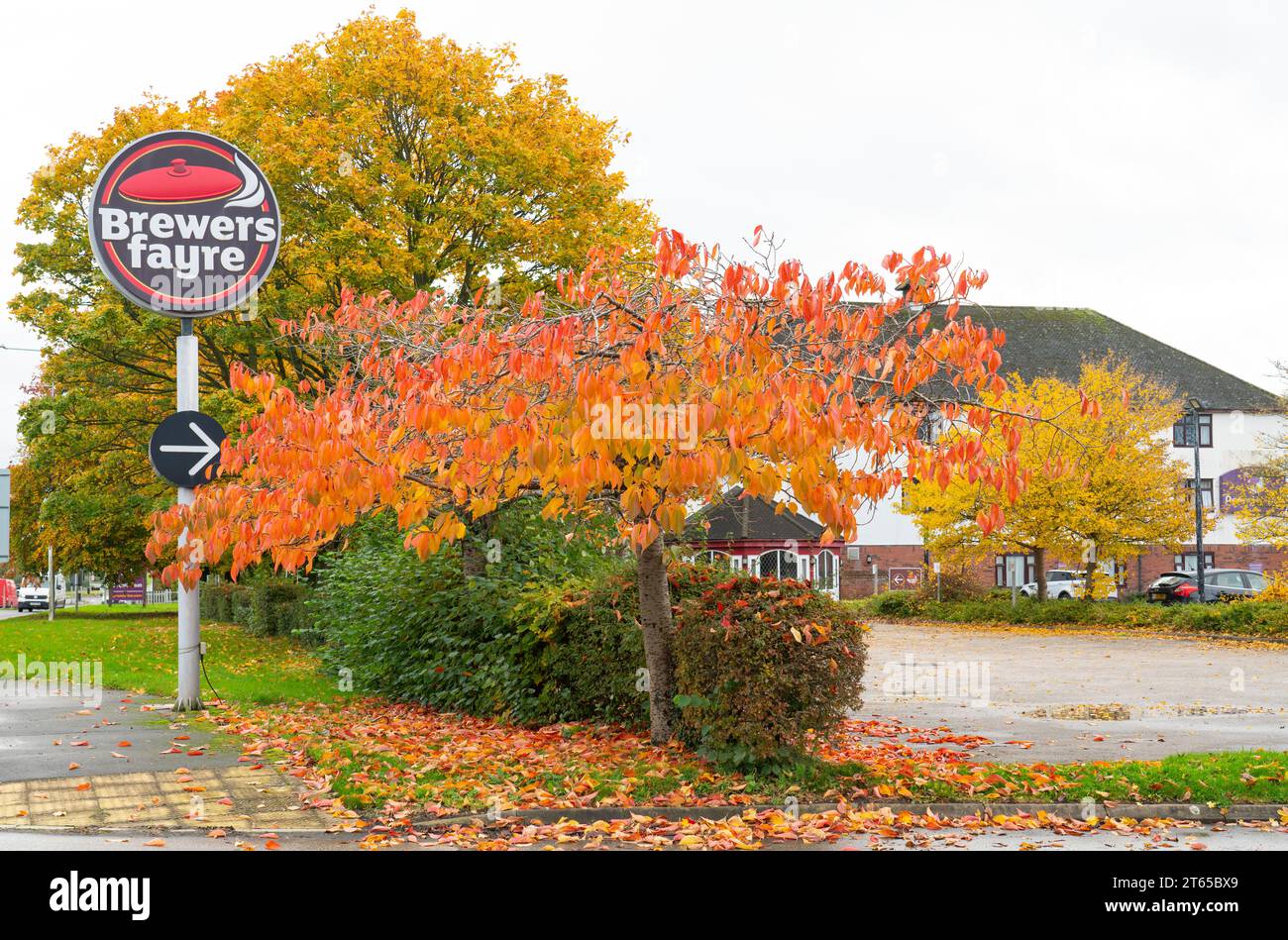 The Tudor Rose, Two Mills, Near Chester, A Premier Inn and Brewers ...
