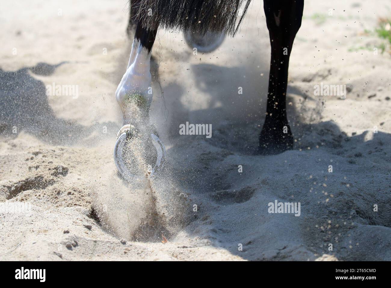Huf germany hi-res stock photography and images - Alamy