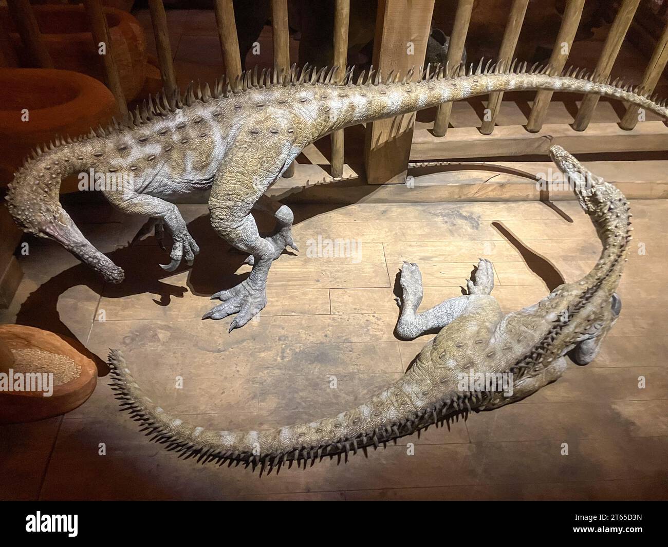 Ark Encounter in Williamstown Kentucky Noah Exhibit 2023. High quality ...