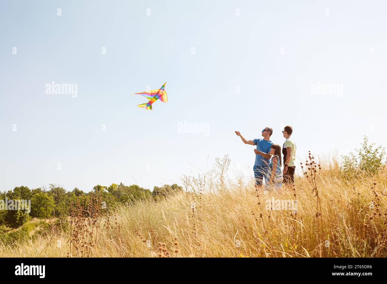 Happy family father with children in nature fly a kite Stock Photo - Alamy
