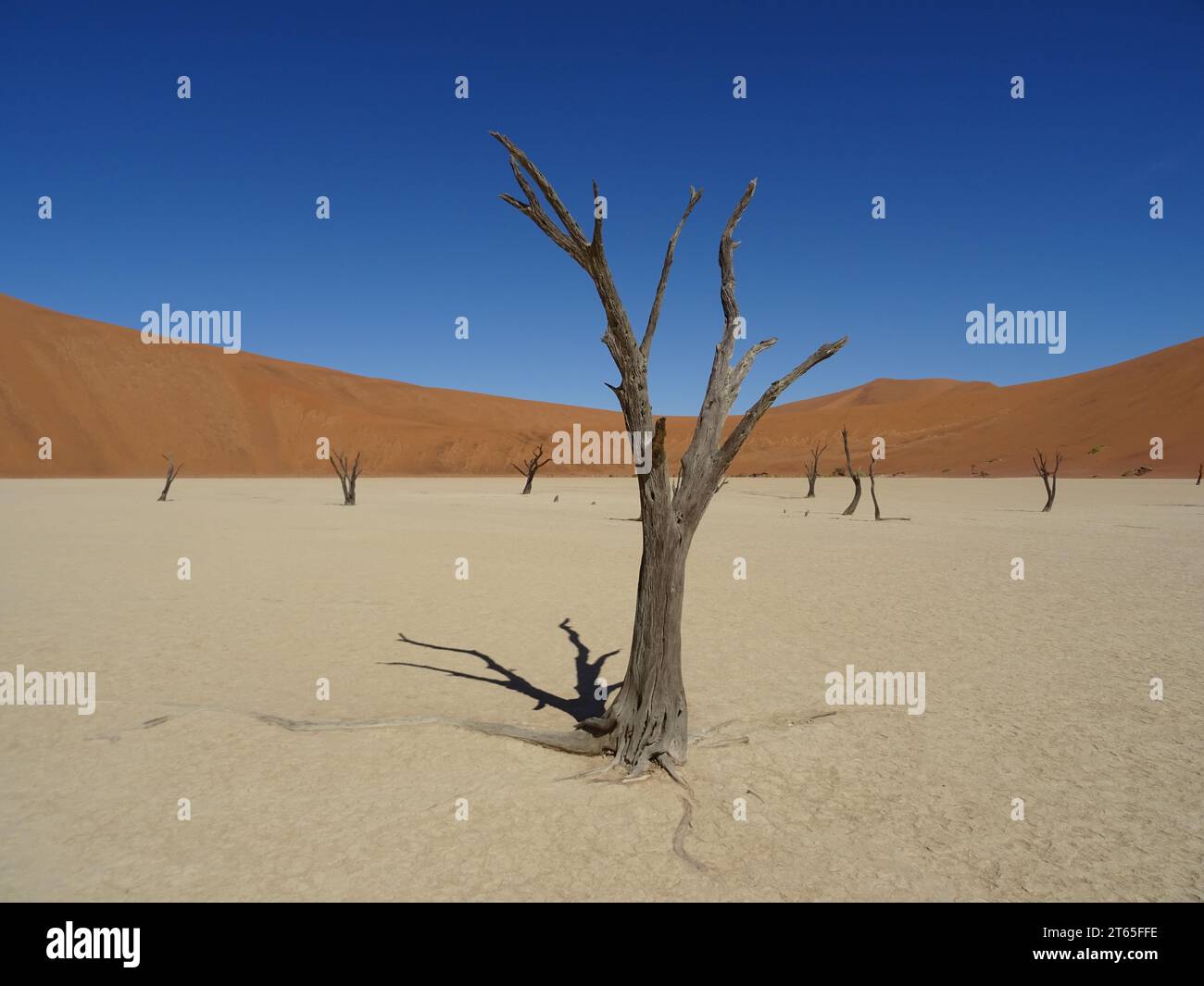 Deadvlei flat in Namibia with the famous dead trees, in front of the ...