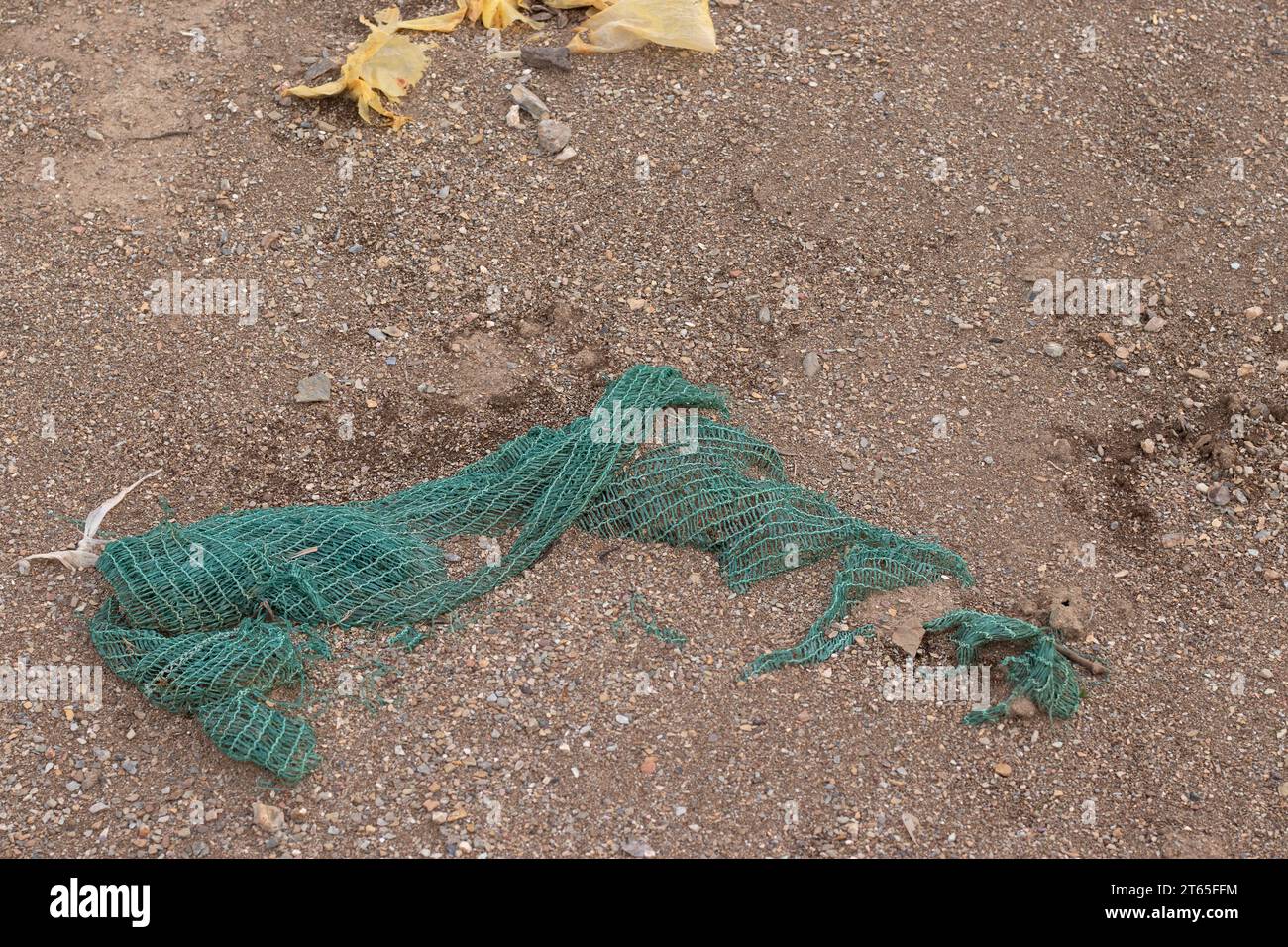 Plastic mesh nylon bag on beach. Decomposing of non-biodegradable ...