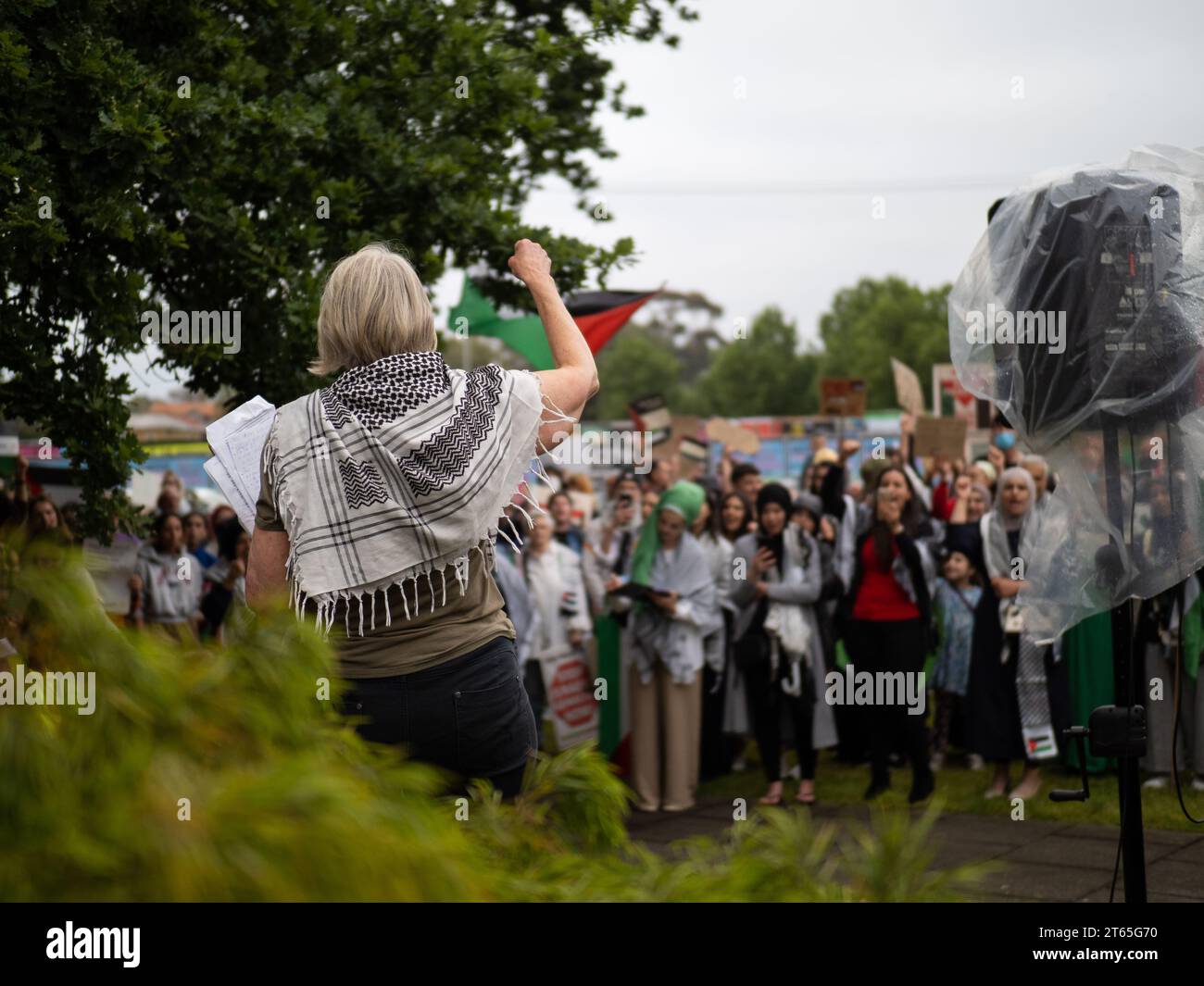 Sue Bolton, a Merri-bek council member, in favour of the successful ...
