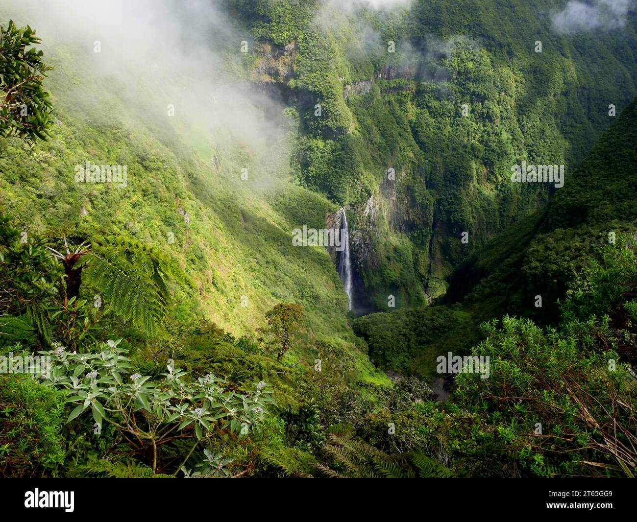 Trou de Fer, a beautifull waterfall in the middle of a primary forest ...