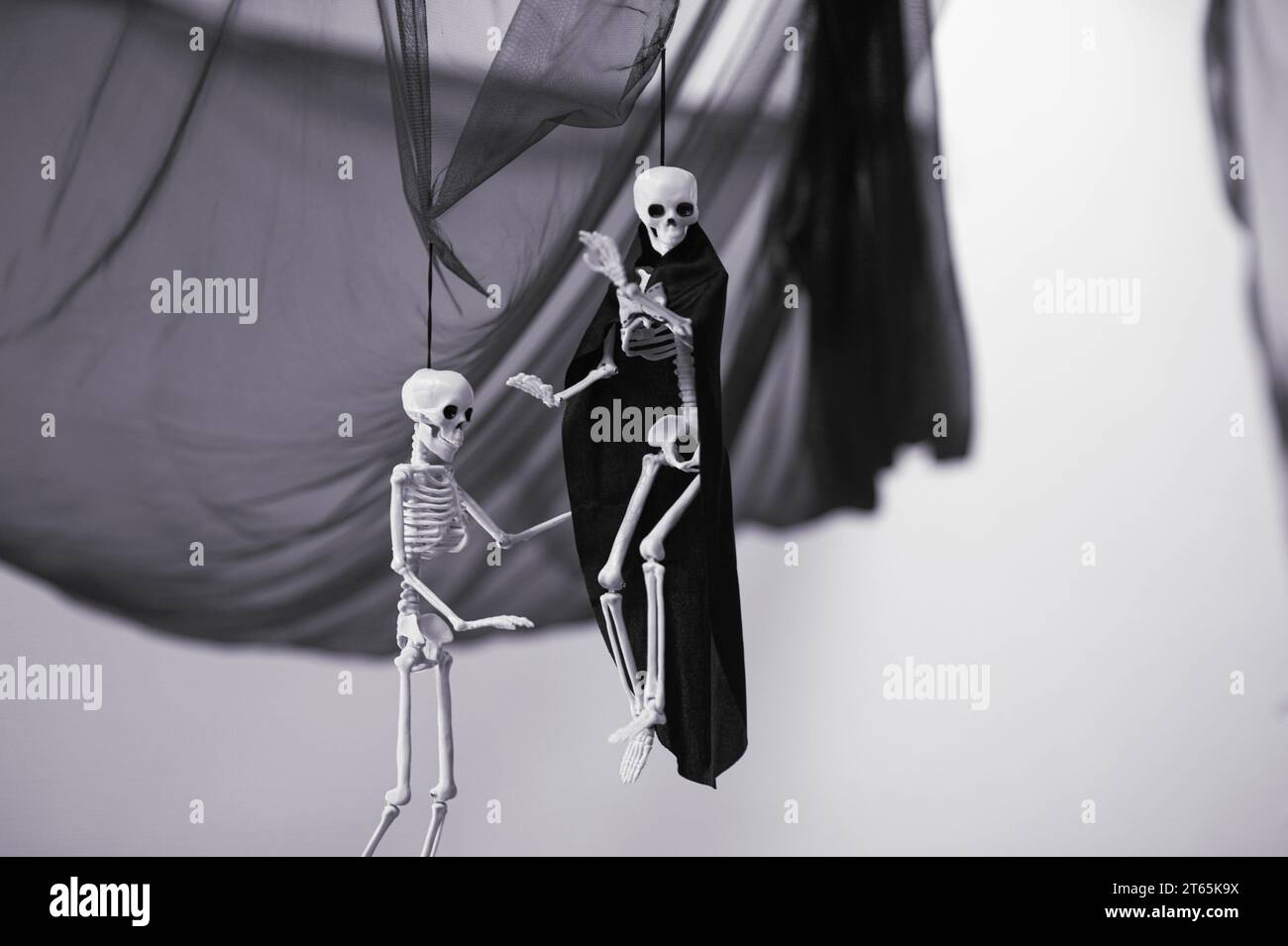 Black and whote photo for Halloween party decoration. Two horror ...