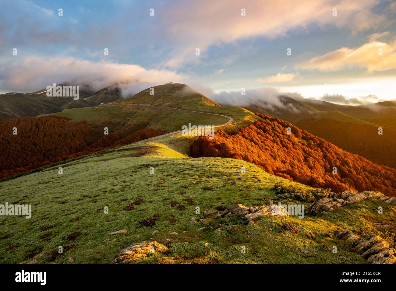 Wonderful view of the Port of Larrau with the road between green ...
