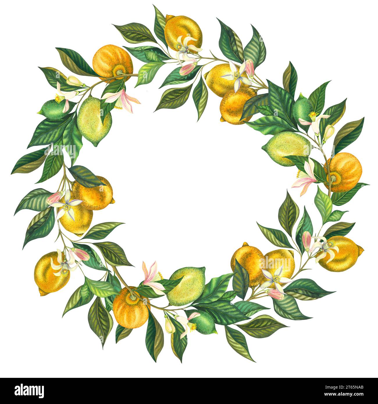 Watercolor lemon wreath branch with leaves, lemons and flowers. Hand ...