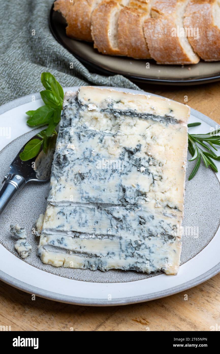 Cheese collection, piece of italian blue cheese gorgonzola picante with ...