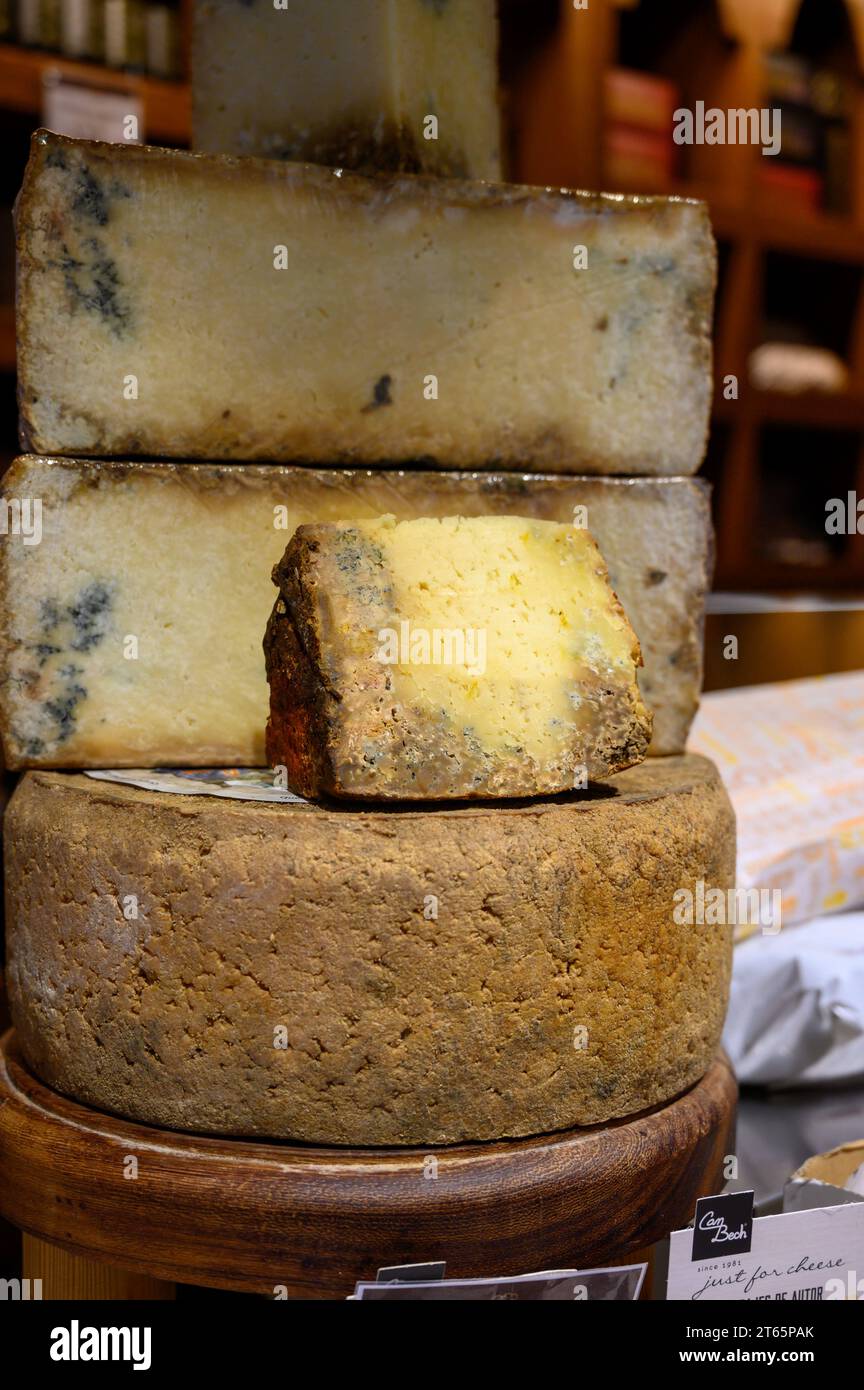 Different Asturian cheeses made from cow, goat and sheep melk on ...