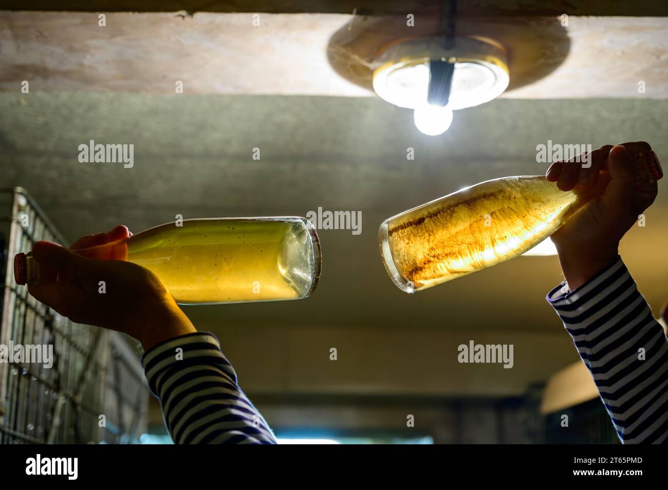 Visit of undergrounds caves, showing of sediment in bottle, traditional ...