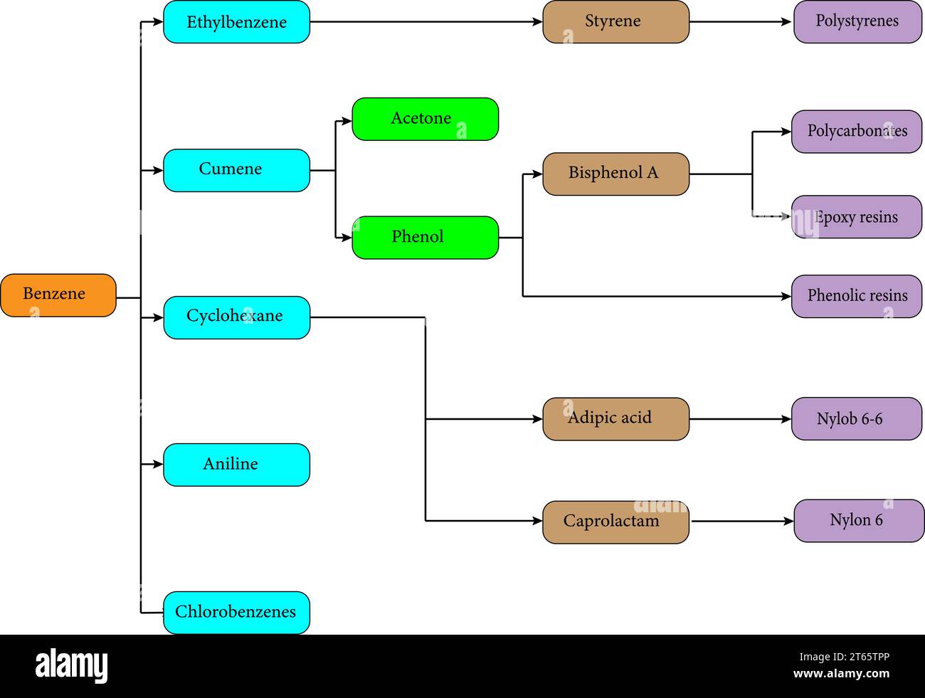 Major commodity chemicals and polymers derived from benzene. Vector ...