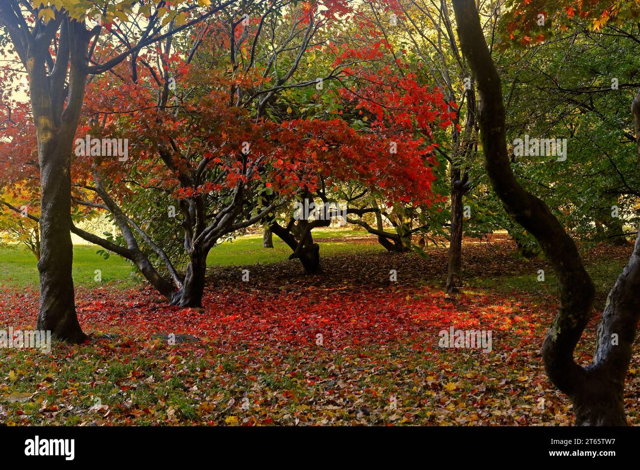 Caret park hi-res stock photography and images - Alamy