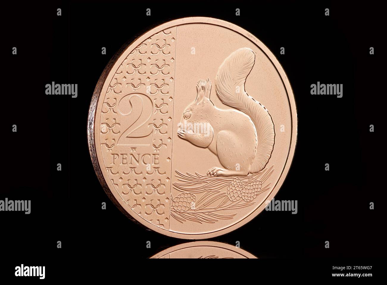 The new 2 pence coin design showing a Red Squirrel on the reverse. The ...
