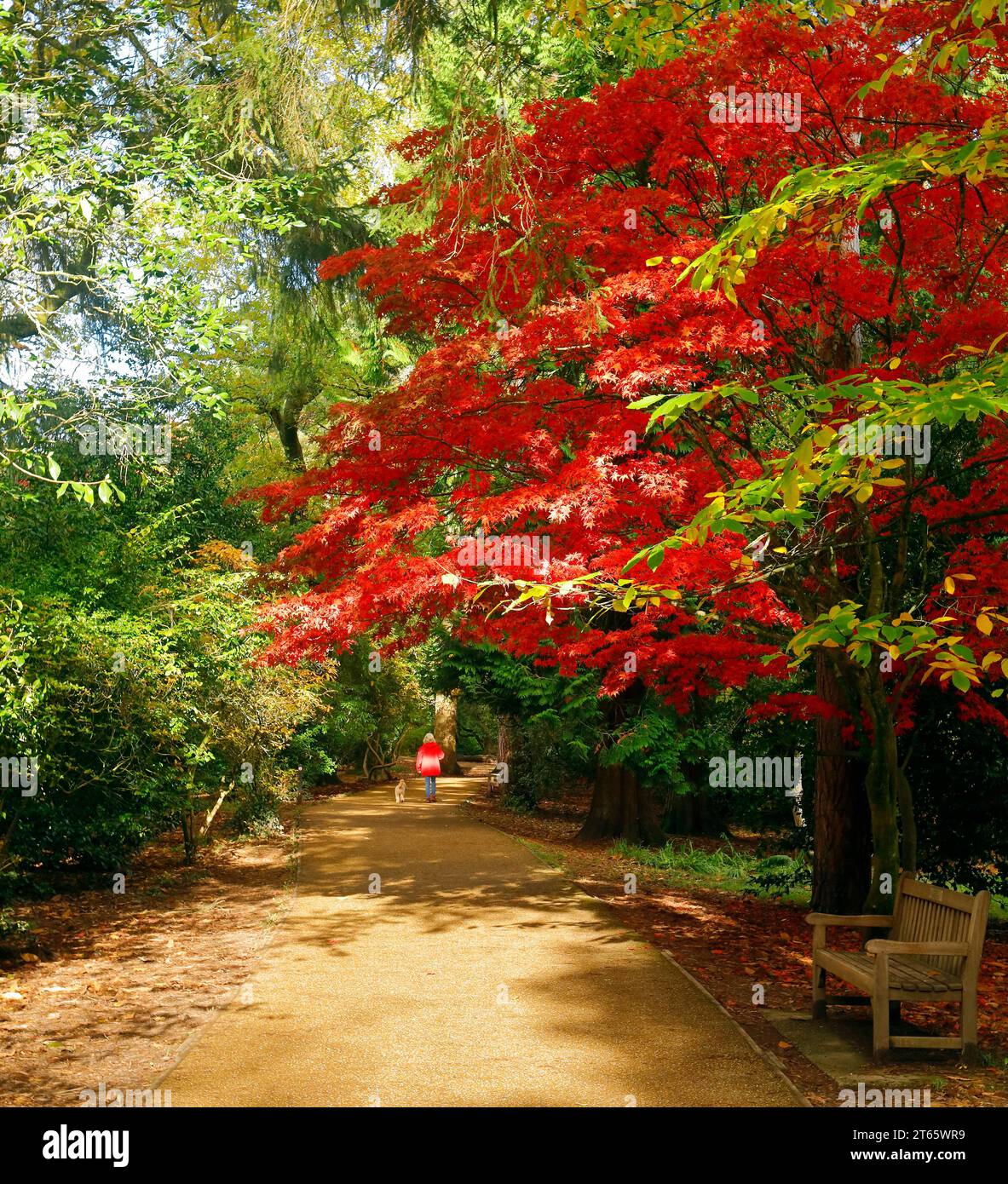 Lovely parc hi-res stock photography and images - Alamy