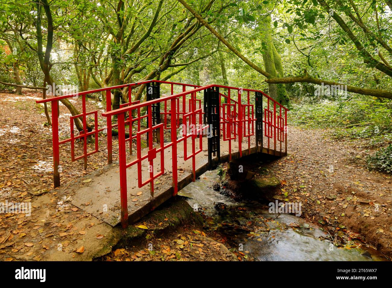 Stunning autumn colours and attractive oriental style bridge at Cefn ...