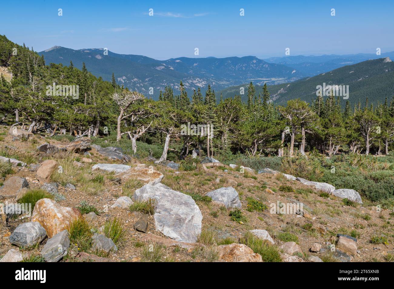 Boulders and a variety of large rocks on a mountainside in the Rocky ...