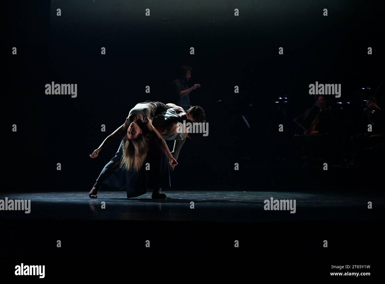 Inspired by the groundbreaking artbook of the same name by Stephen ...