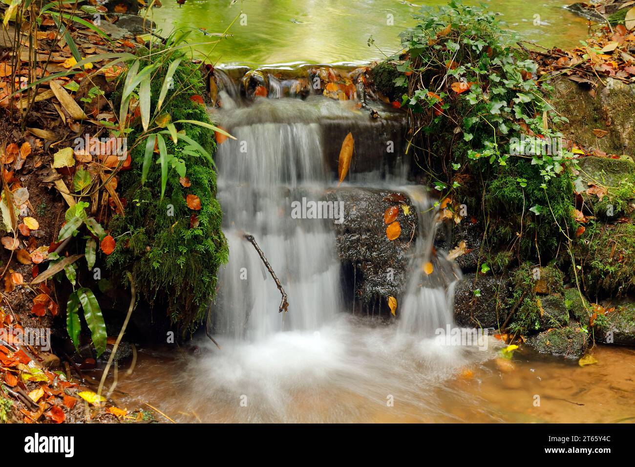 Country park waterfall hi-res stock photography and images - Alamy