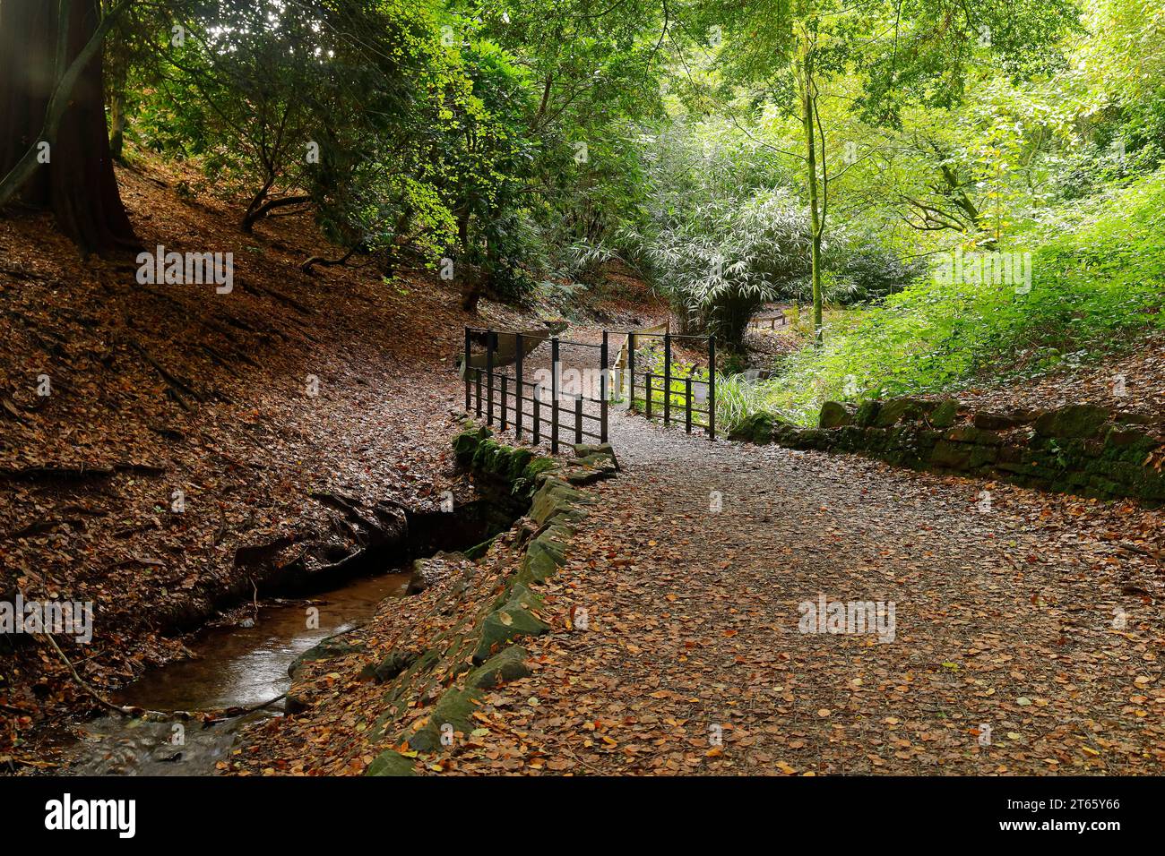 Autumn scene at Parc Cefn Onn,/ Cefn Onn Country Park, Lisvane, near ...