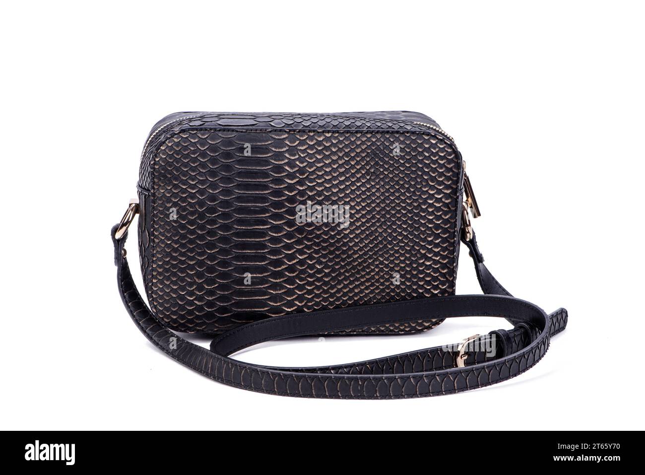 New women's black python leather bag with shoulder strap and zipper isolated on a white ...