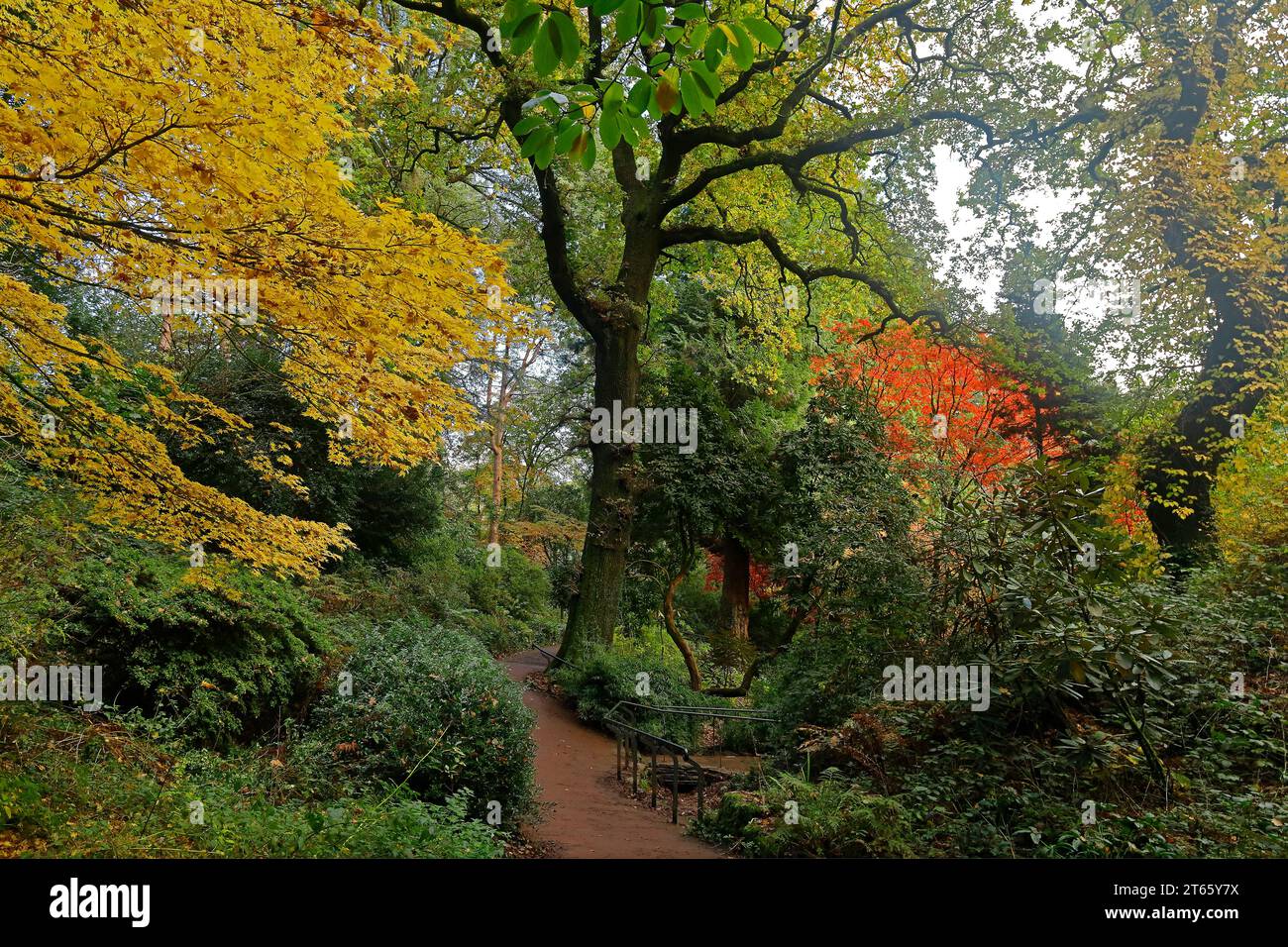 Autumn scene at Parc Cefn Onn,/ Cefn Onn Country Park, Lisvane, near ...