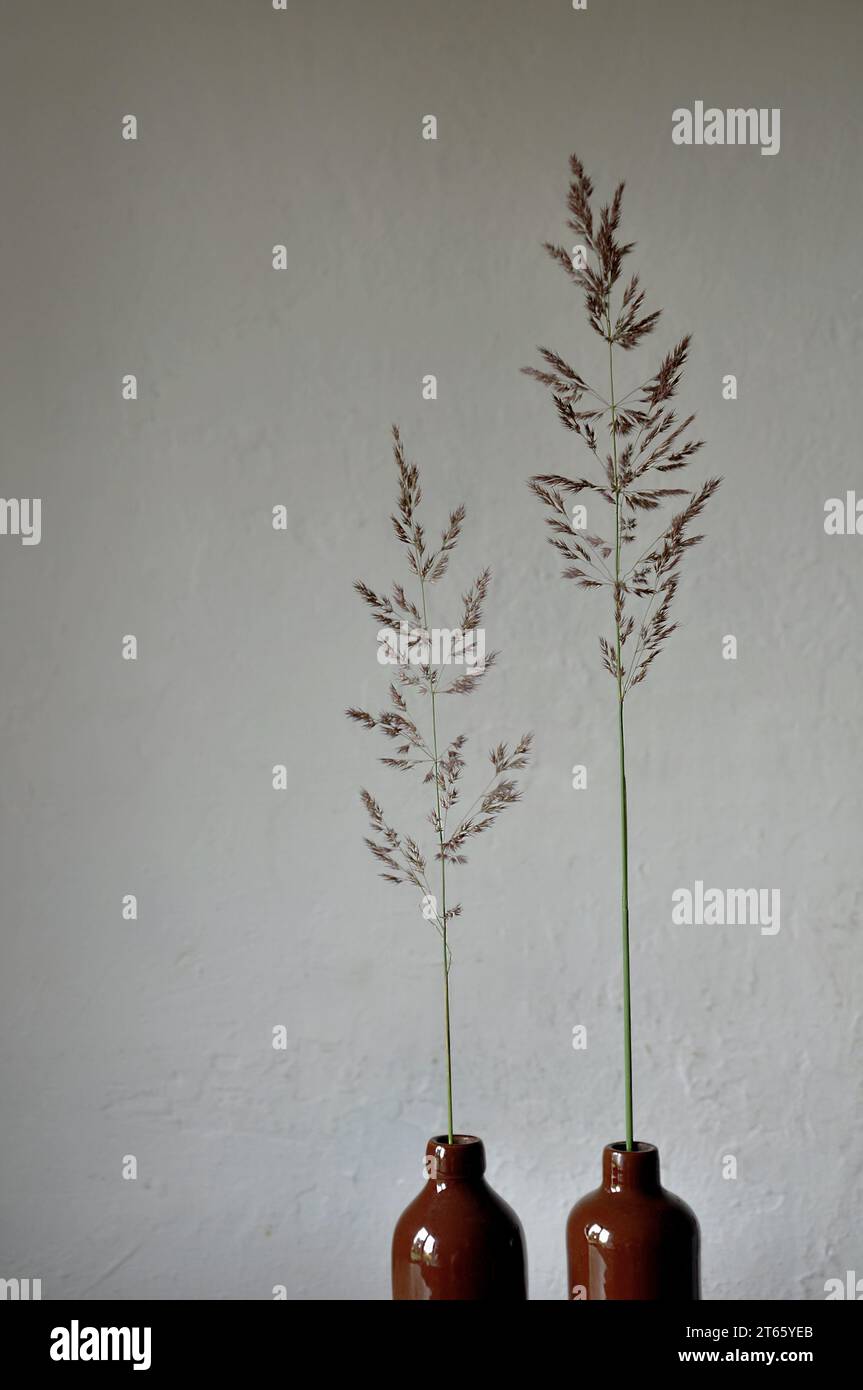 Clay house interior hi-res stock photography and images - Alamy