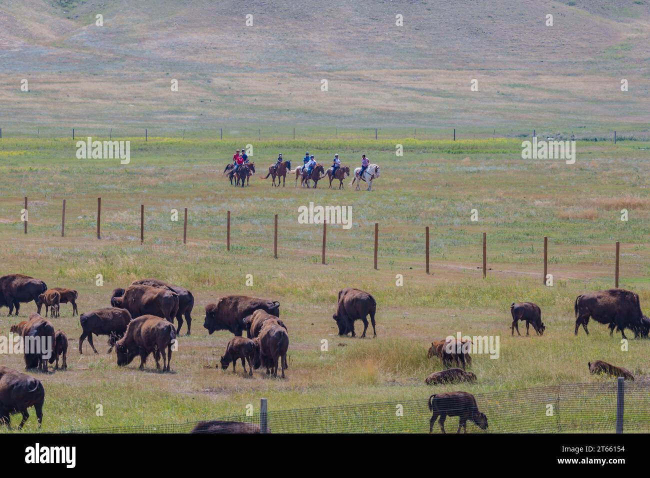 Visitors being led on a horseback trail ride through the fields past a ...