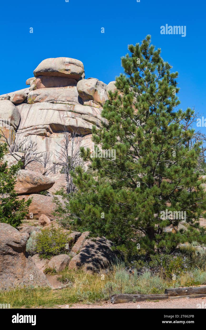 Granite rock outcropping in the Vedauwoo Recreation Area of Medicine ...