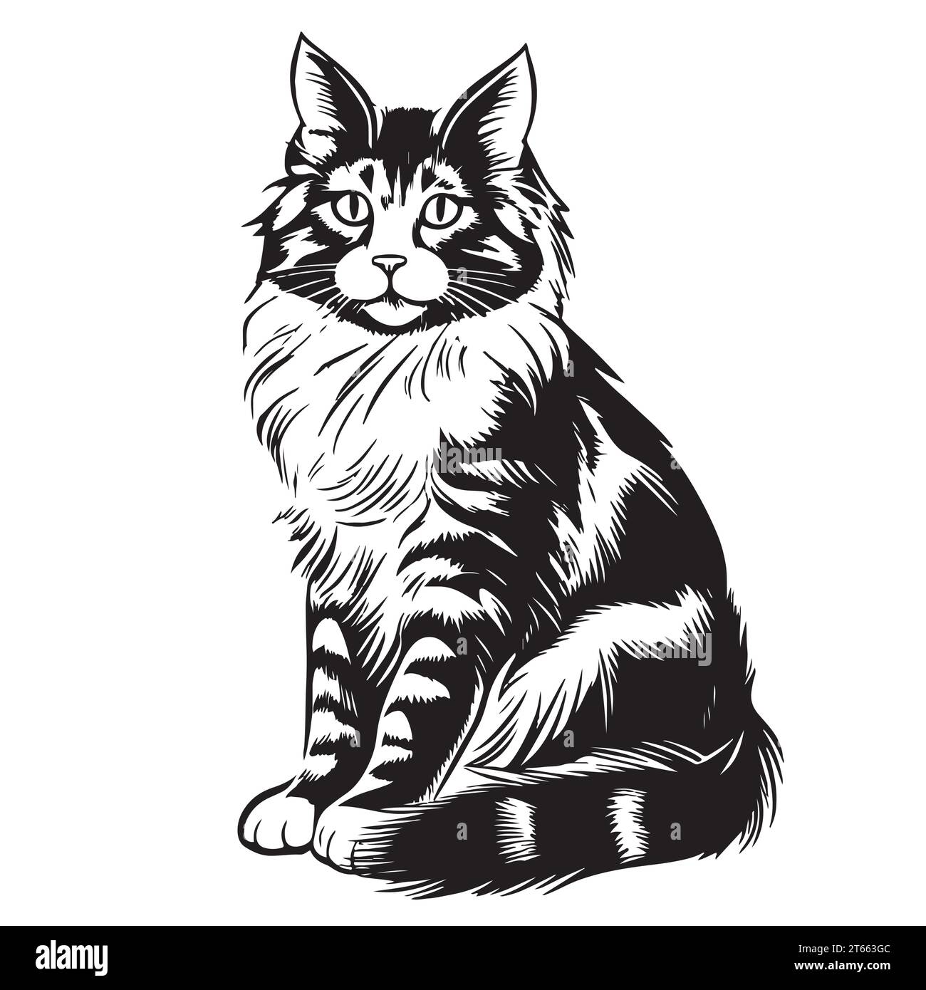 Fluffy cat sketch hand drawn Vector illustration Stock Vector Image ...