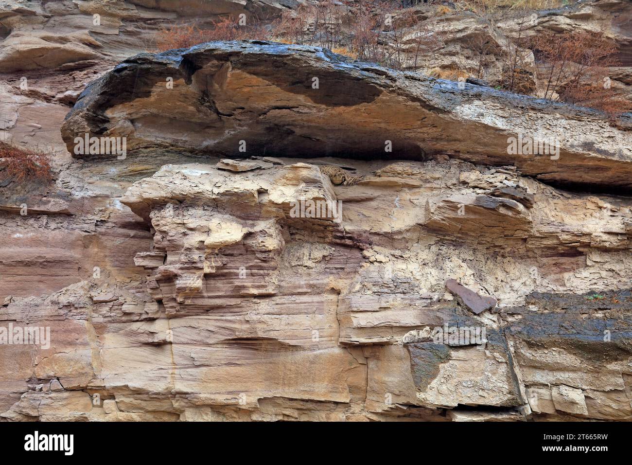 Rock texture in nature Stock Photo - Alamy