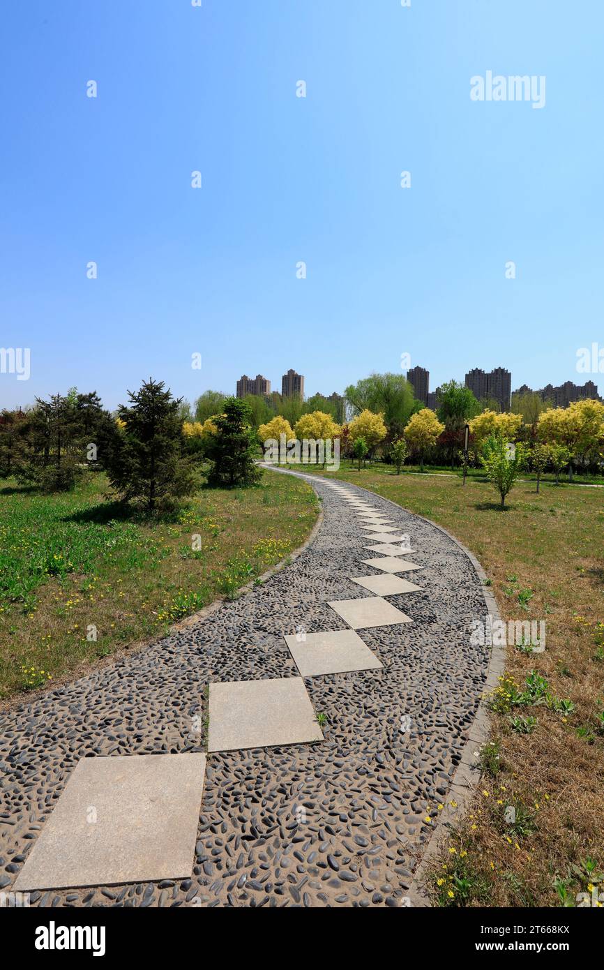 Stone Roads and Greening Plants in Parks Stock Photo - Alamy