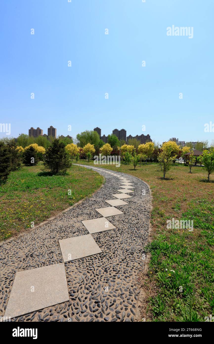 Stone Roads and Greening Plants in Parks Stock Photo - Alamy