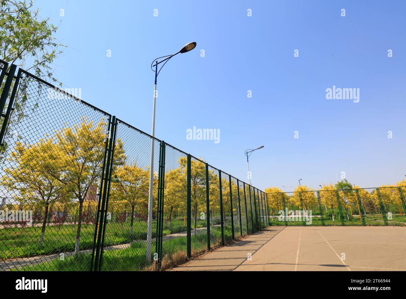 Guardrail with plants hi-res stock photography and images - Alamy