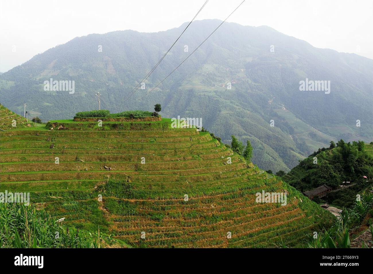 龙胜镇 (龙胜县) 中國 Longsheng Rice Terraces, Longji Ping'an Zhuang, China ...