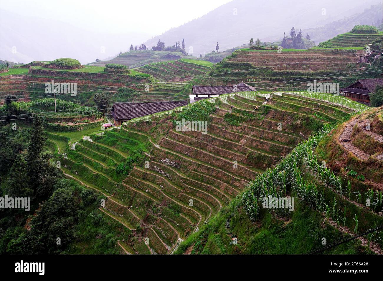 Agricultura tradicional china hi-res stock photography and images - Alamy