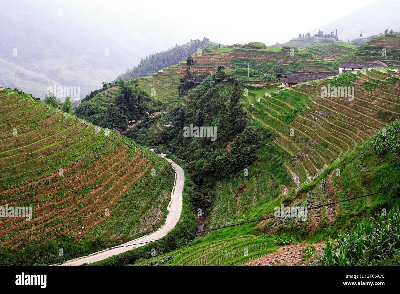 龙胜镇 (龙胜县) 中國 Longsheng Rice Terraces, Longji Ping'an Zhuang, China ...