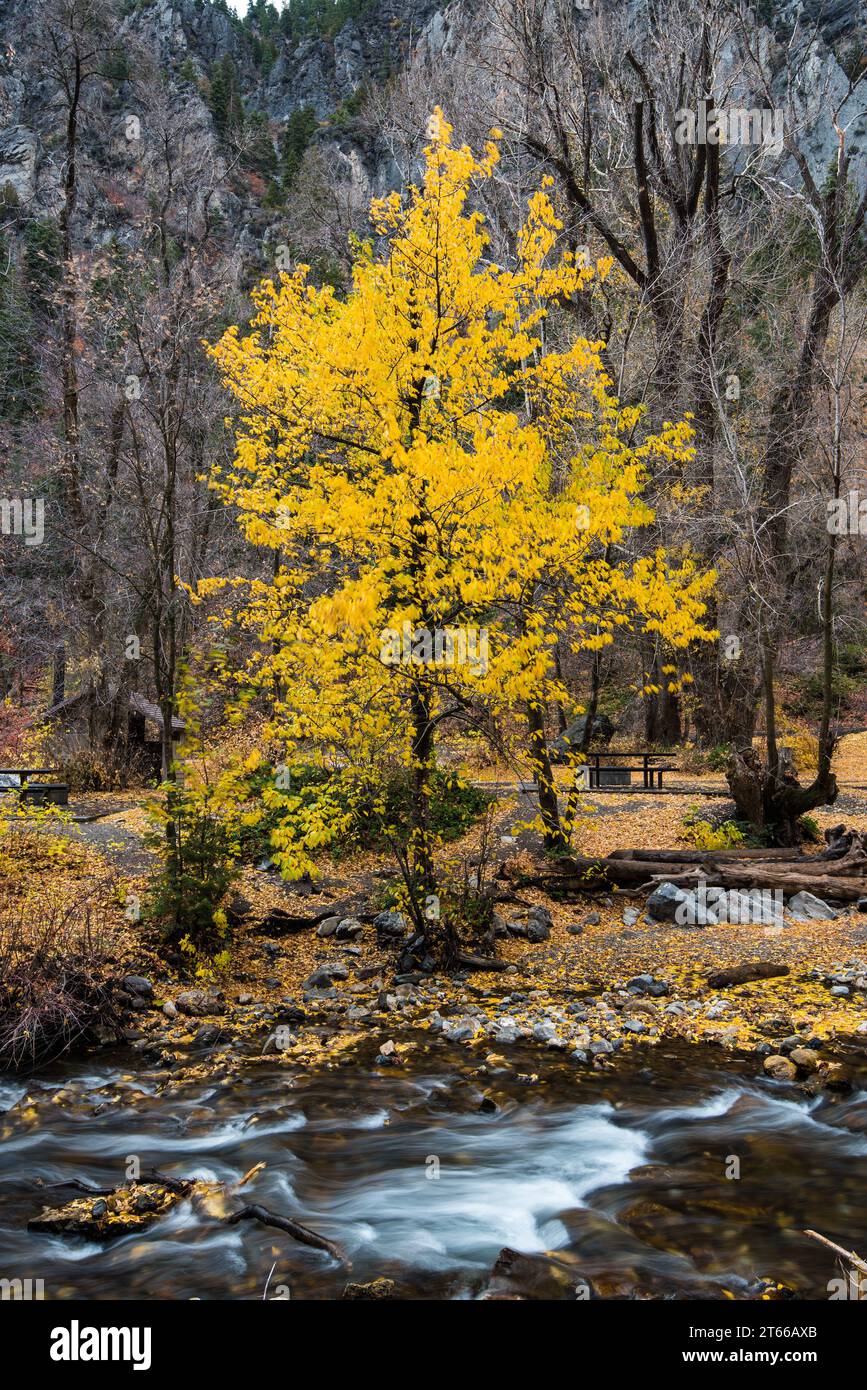 Last colors of the season hi-res stock photography and images - Alamy