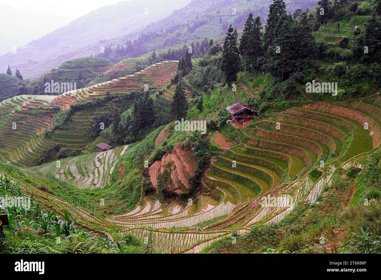 龙胜镇 (龙胜县) 中國 Longsheng Rice Terraces, Longji Ping'an Zhuang, China ...