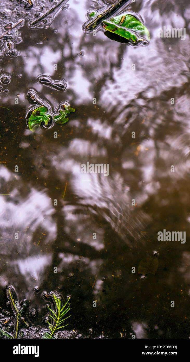 Nature concept background wallpaper of puddle Stock Photo - Alamy