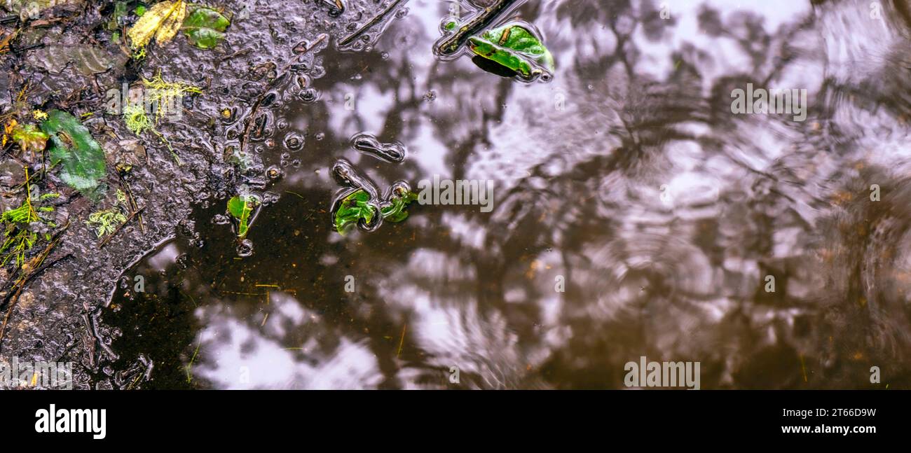 Nature concept background wallpaper of puddle Stock Photo - Alamy