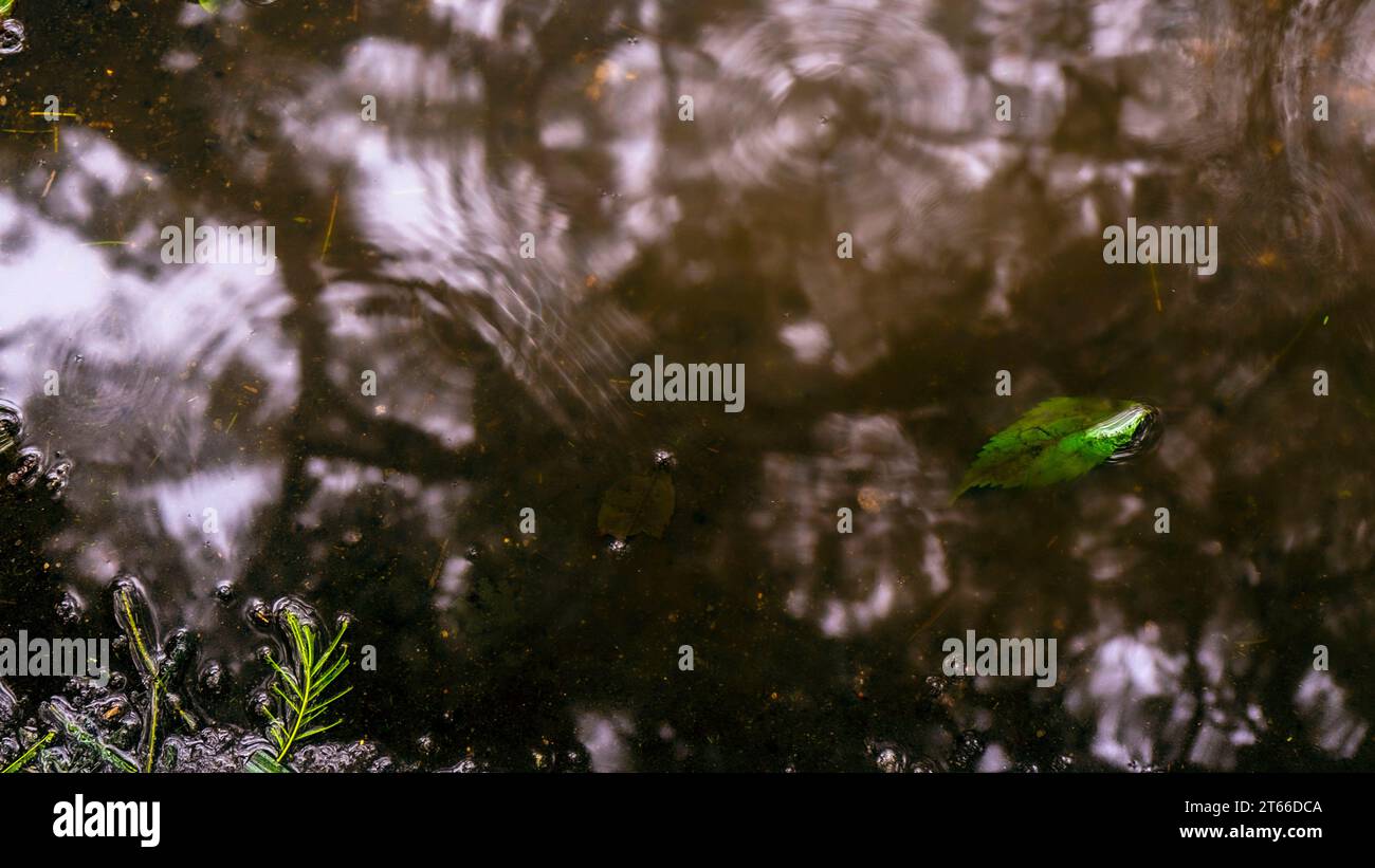 Nature concept background wallpaper of puddle Stock Photo - Alamy