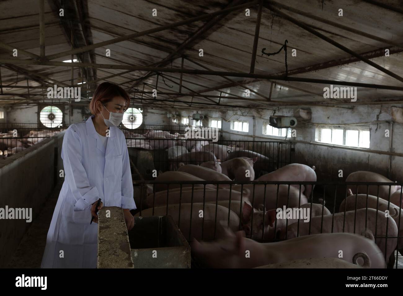 LUANNAN County - September 5, 2017: A beautiful girl is checking the ...