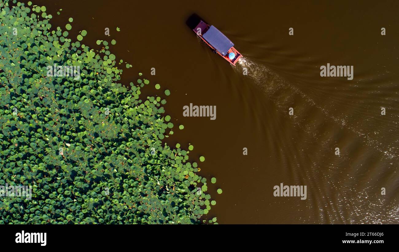 Aerial photographs, lotus-blooming ponds Stock Photo - Alamy