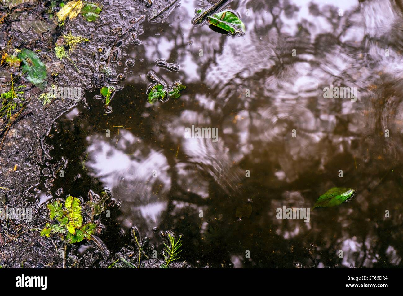 Nature concept background wallpaper of puddle Stock Photo - Alamy