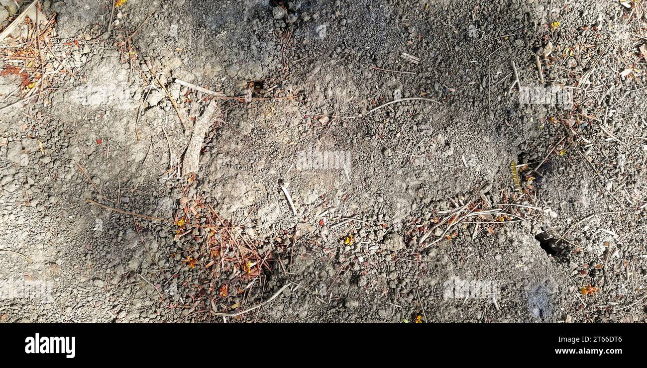 Nature concept background and wallpaper Stock Photo - Alamy