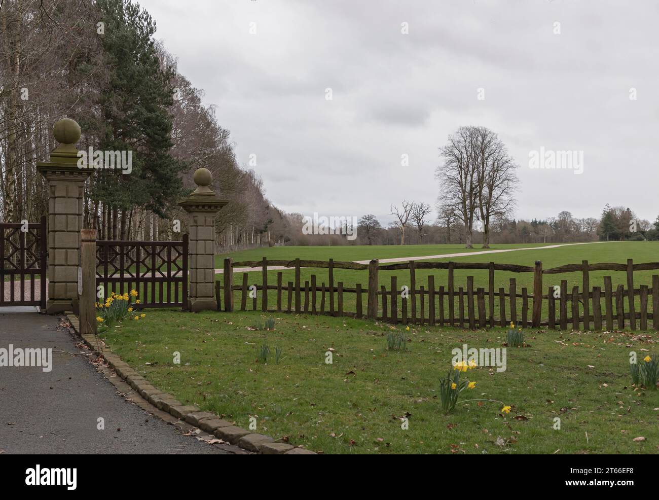 Looking across a flat field through a old fashioned fence with Oak ...