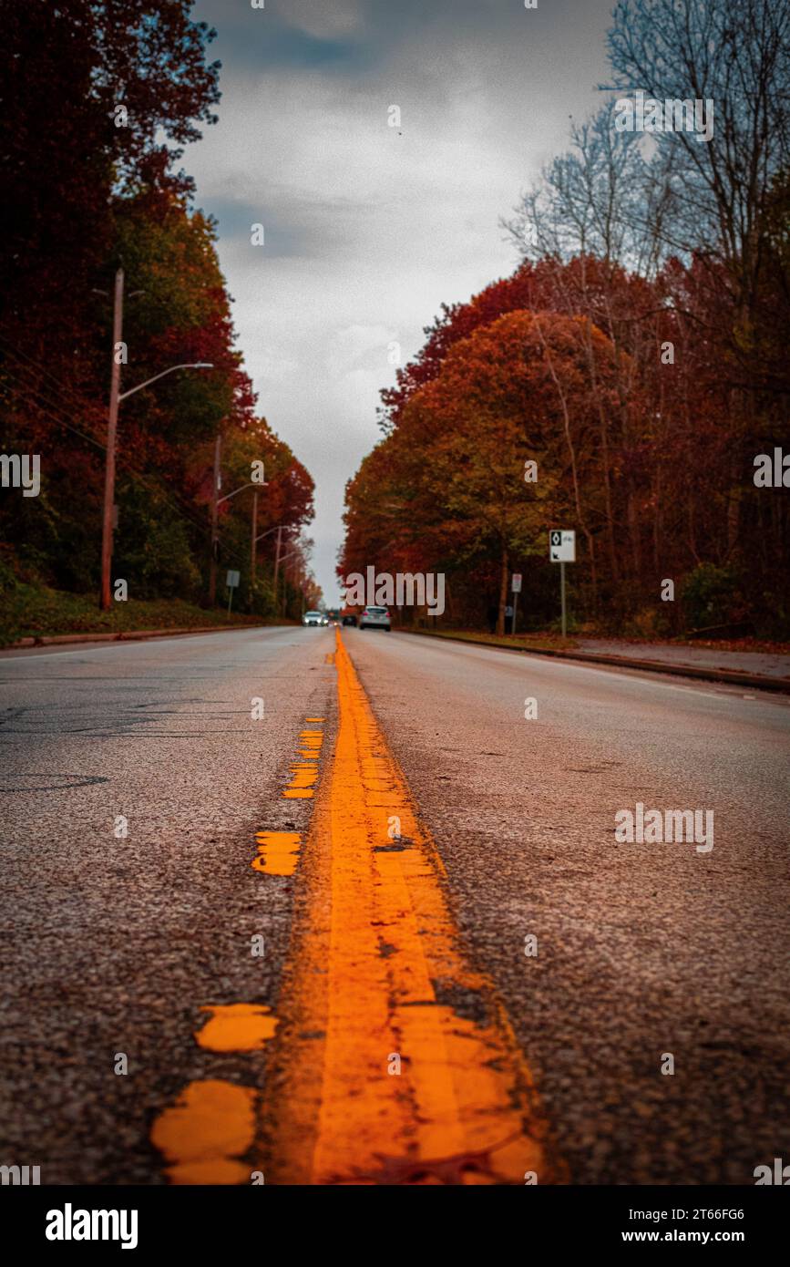 Picture of a long stretch of road with beautiful autumn trees Stock ...